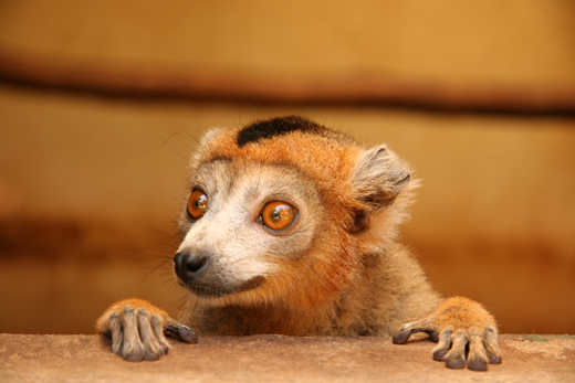 Conrad_Henning0002_ | Good Nature Travel Blog