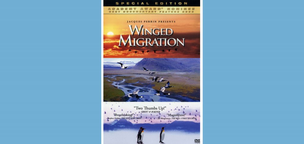 Winged-Migration-finfin_Web | Good Nature Travel Blog
