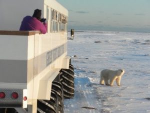 Polar Rover | Good Nature Travel Blog