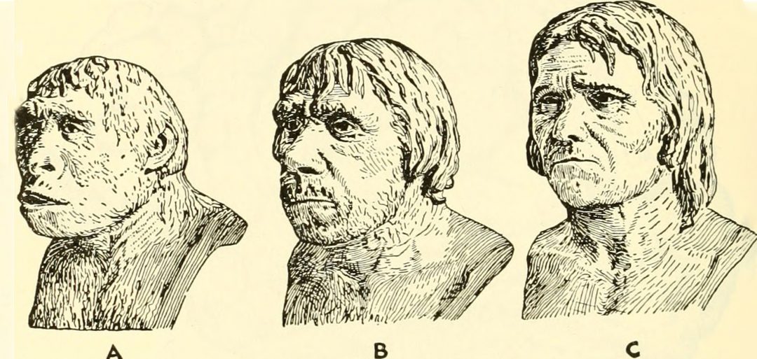 Three-Heads-Illustration-CROP_Web | Good Nature Travel Blog