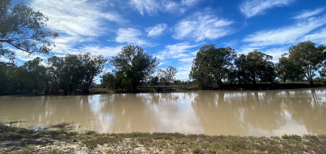 Darling River_New Matilda_flickr CROP_Web | Good Nature Travel Blog