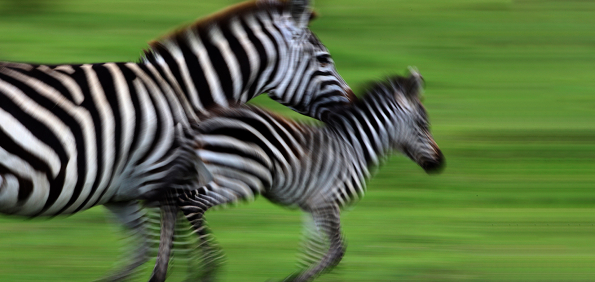 eric-rock-100_3930-CROP_Web | Good Nature Travel Blog