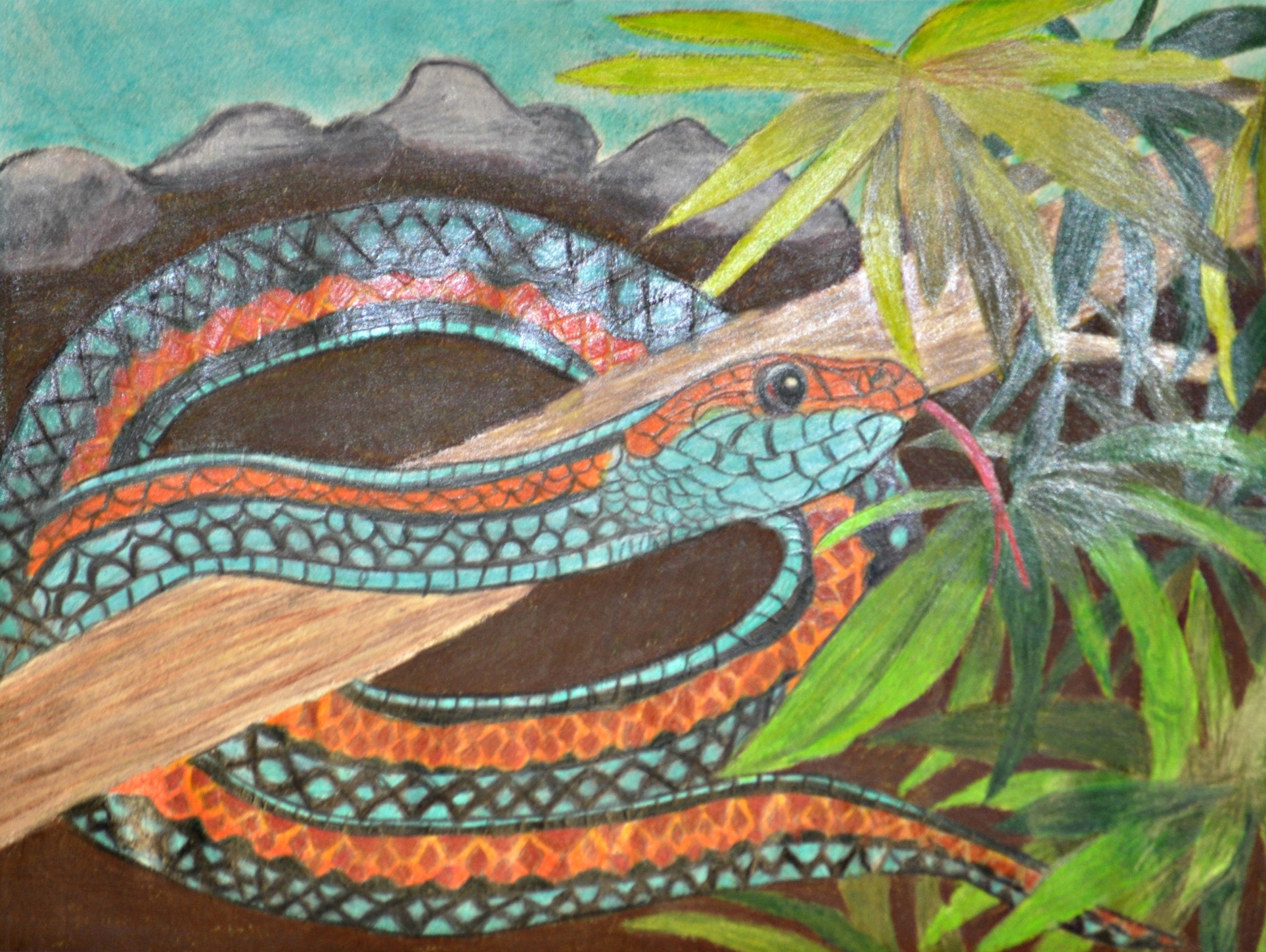 HERE NOW AND THEN GONE?!-SAN FRANCISCO GRATER SNAKE | Good Nature ...