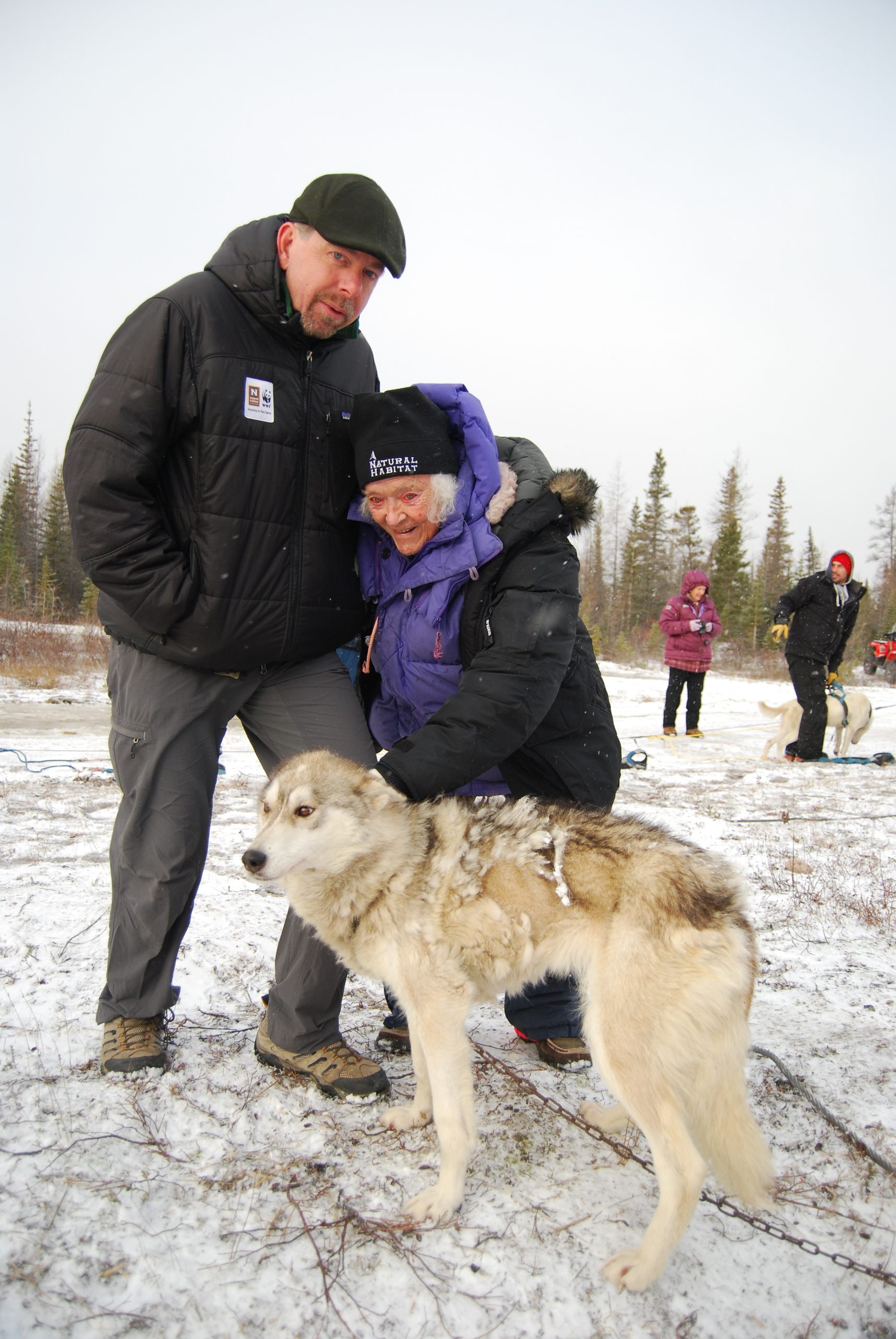 Elsa Dog Sledding | Good Nature Travel Blog