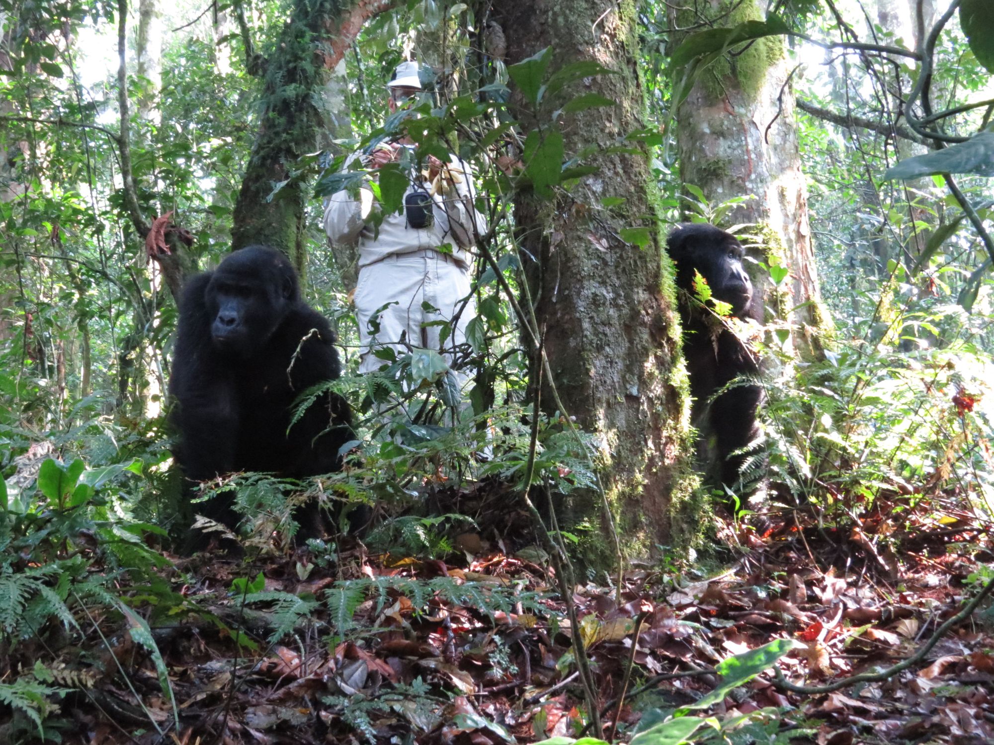 two | Good Nature Travel Blog