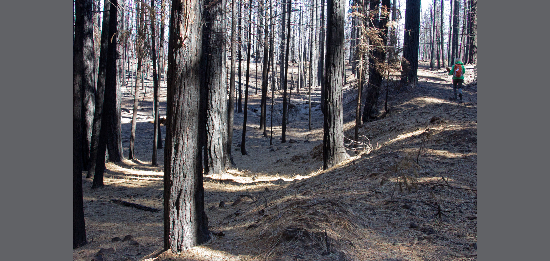 IMG_6682-CROP_Web | Good Nature Travel Blog