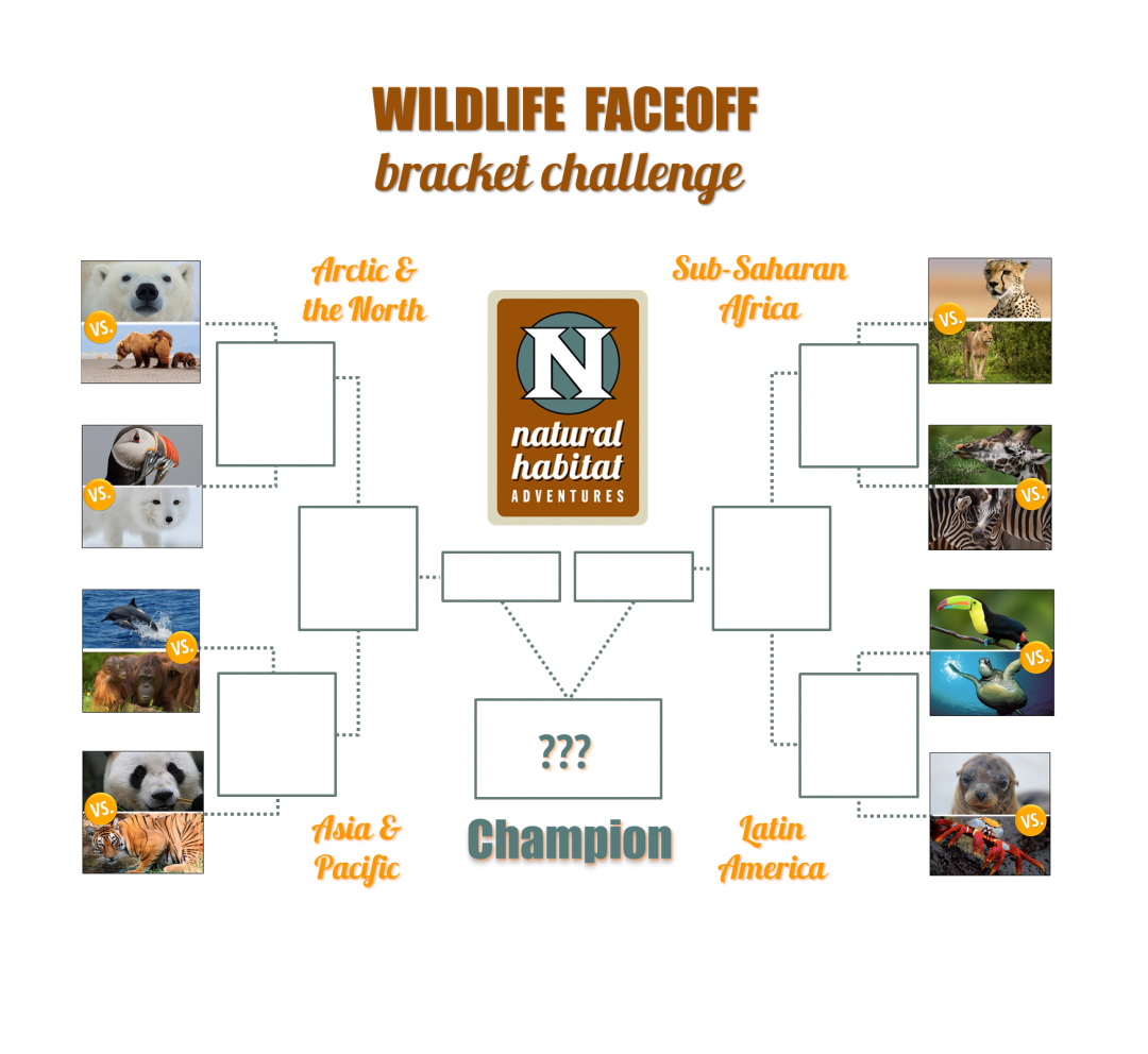 Bracket Challenge | Good Nature Travel Blog