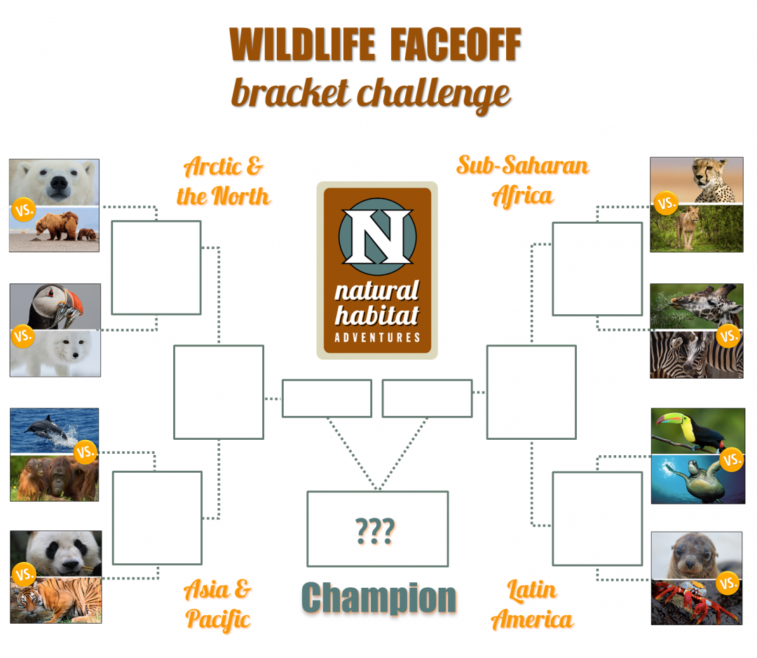 Bracket Challenge | Good Nature Travel Blog