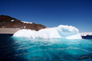 Antarctica Photos 059 | Good Nature Travel Blog