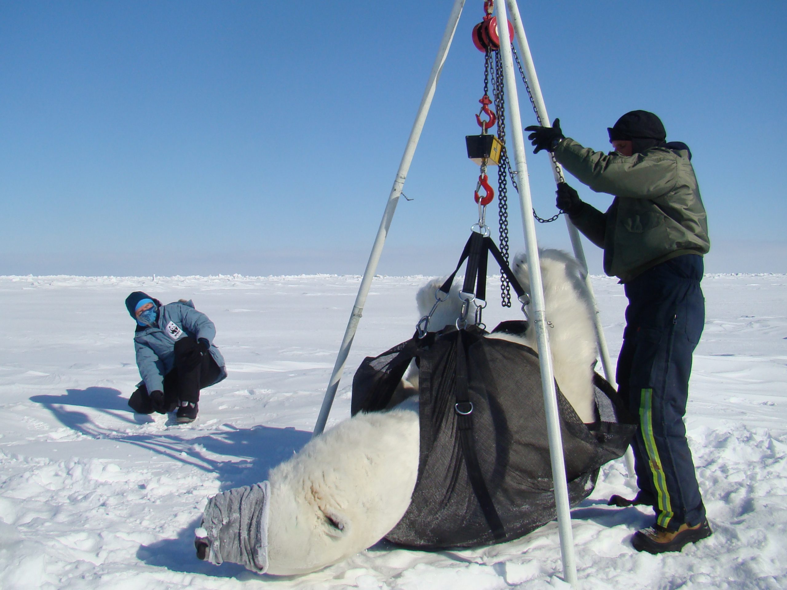 Elisabeth Kruger3 | Good Nature Travel Blog