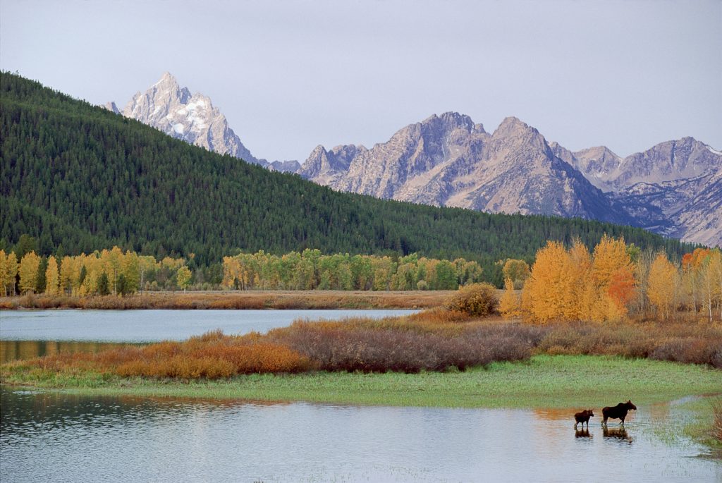 Snake River Morning | Good Nature Travel Blog