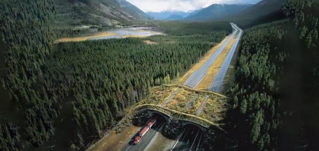 Top-View-CROP_Web | Good Nature Travel Blog