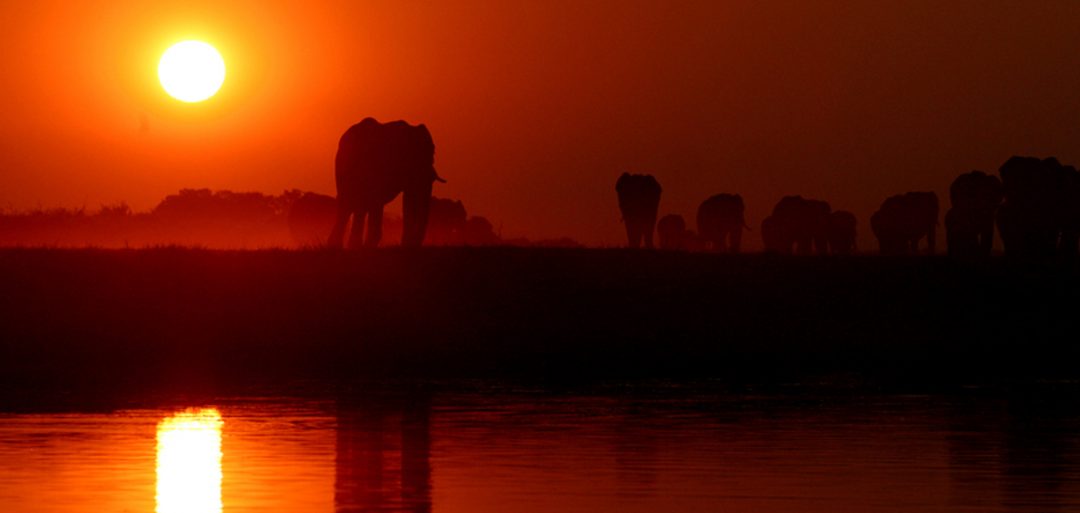 DGL_5471-Dave-Luck-CROP_Web | Good Nature Travel Blog