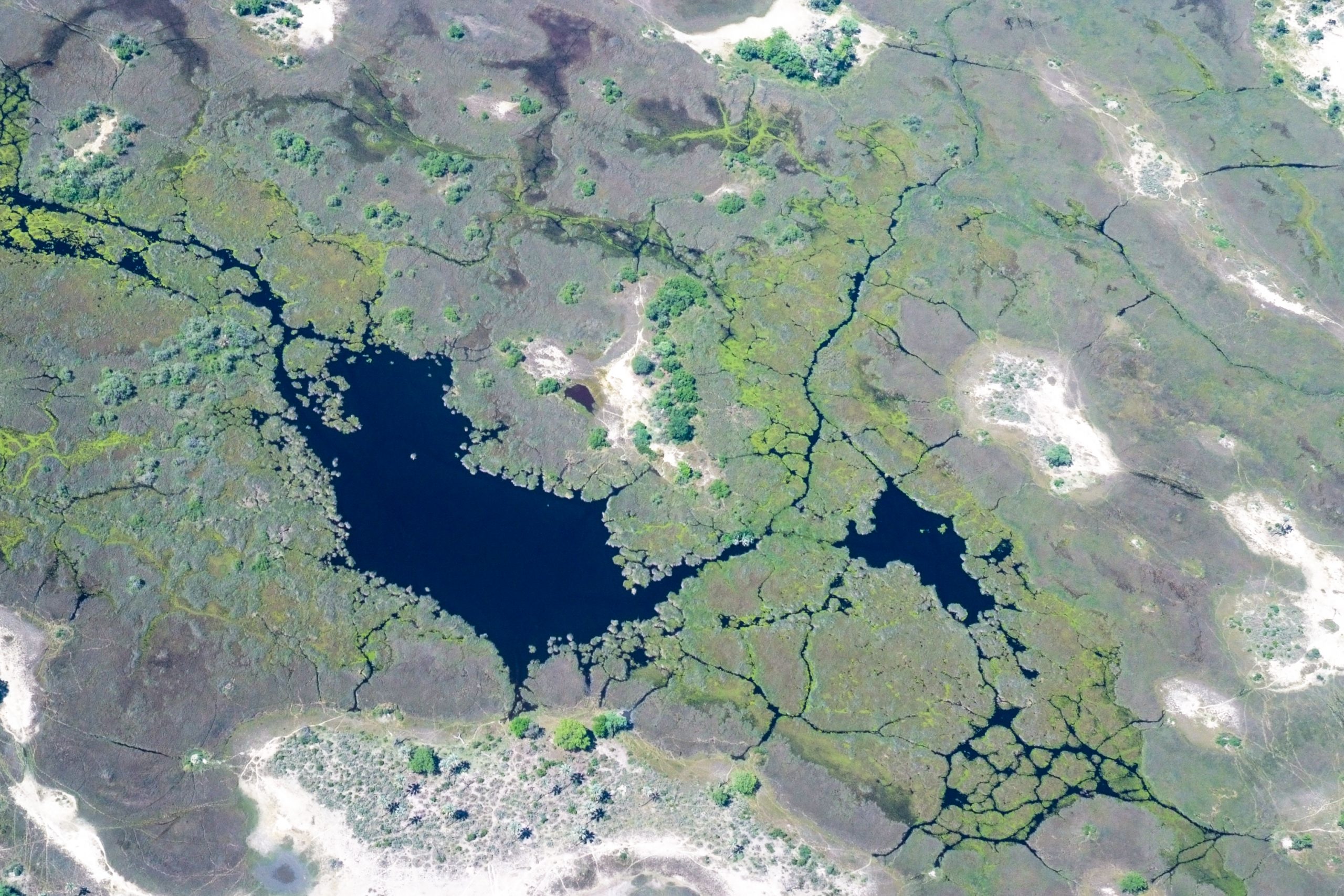 Botswana: From Desert to Delta