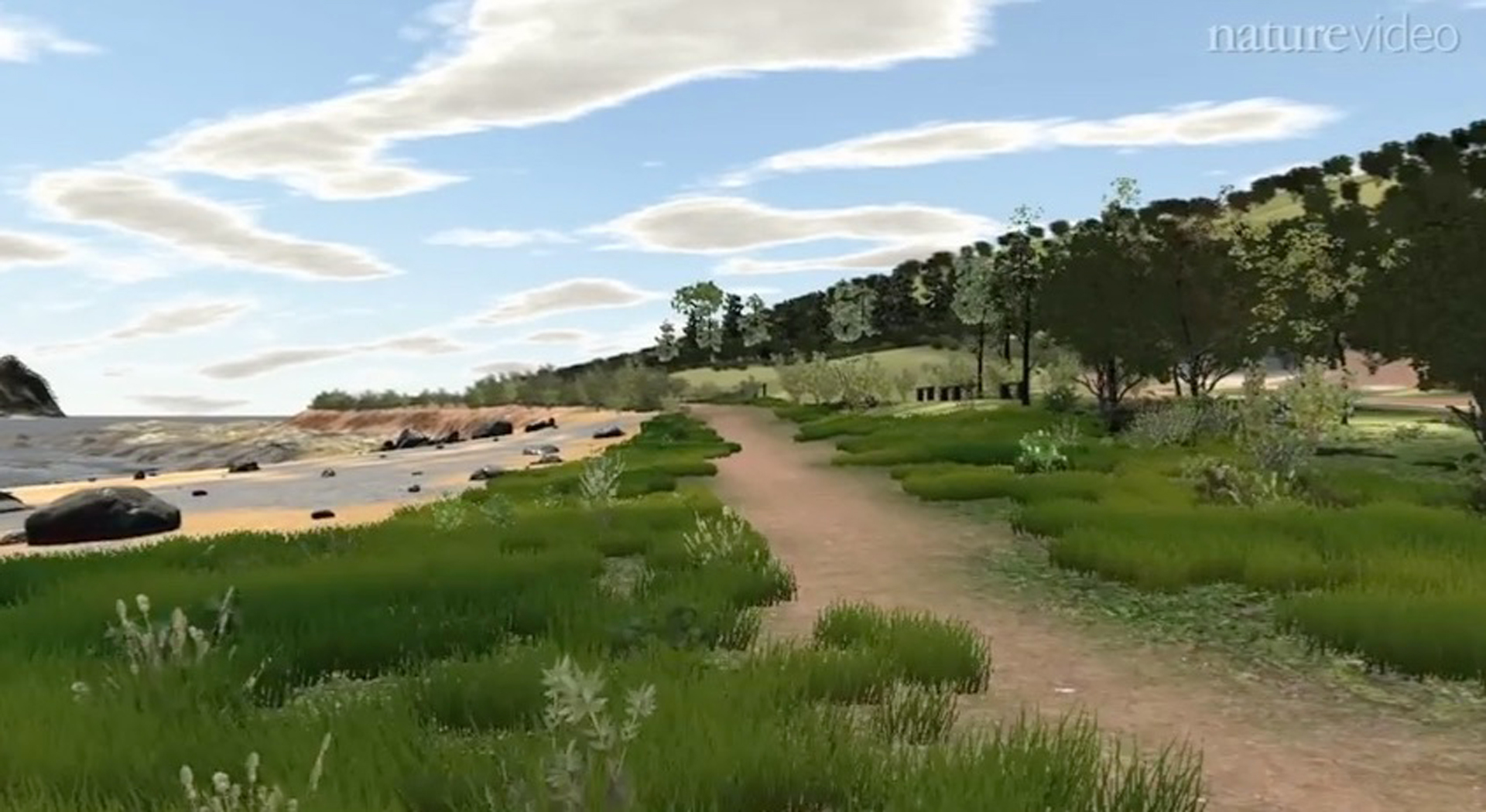 Video: Take a Virtual Nature Walk