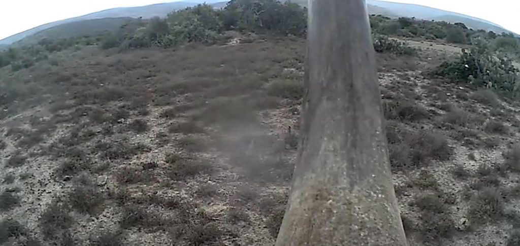 Horn Cam 4 CROP_Web | Good Nature Travel Blog