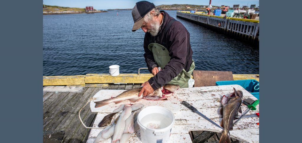 Cod Fisherman_michael_swan_flickr fin_Web | Good Nature Travel Blog