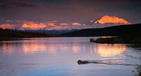 Justin-R.-Gibson_Denali_Web | Good Nature Travel Blog