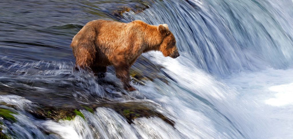 Falls-fin_Web | Good Nature Travel Blog