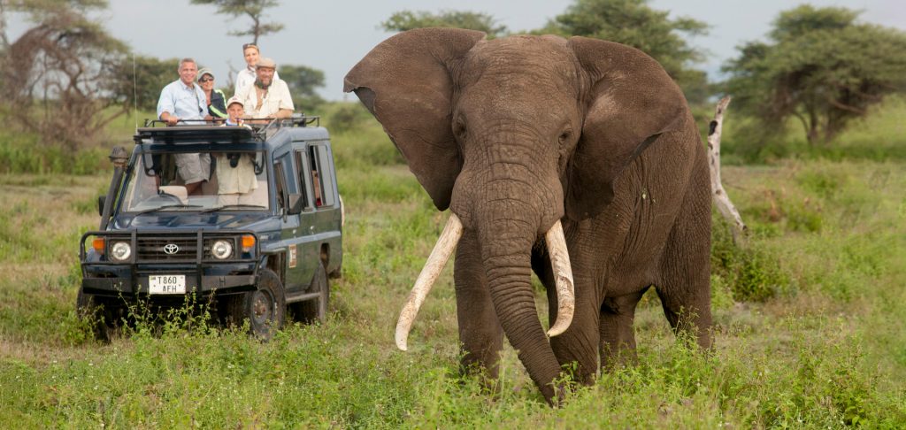 David Luck CROP_Web | Good Nature Travel Blog