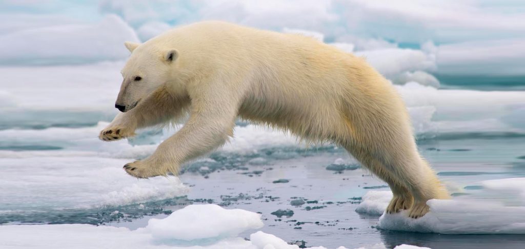 NPS-Climate-Change-Response-CROP_Web | Good Nature Travel Blog