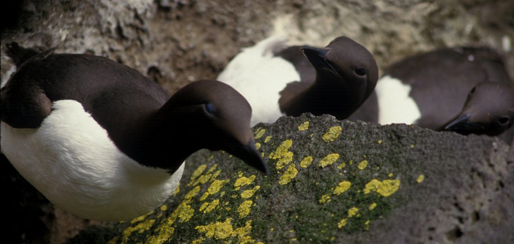 NOAA Photo Library CROP_Web | Good Nature Travel Blog