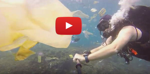 Video: Oceans and Plastics Pollution