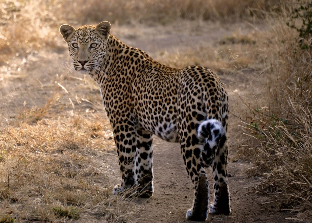 taking-look-back-Vicky_Marella | Good Nature Travel Blog