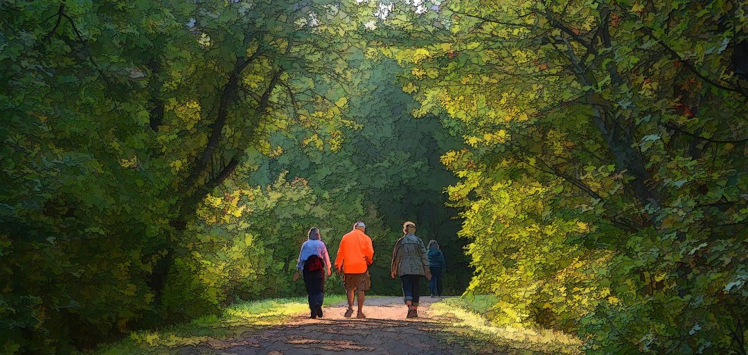 Nature-Group-CROP_Web | Good Nature Travel Blog