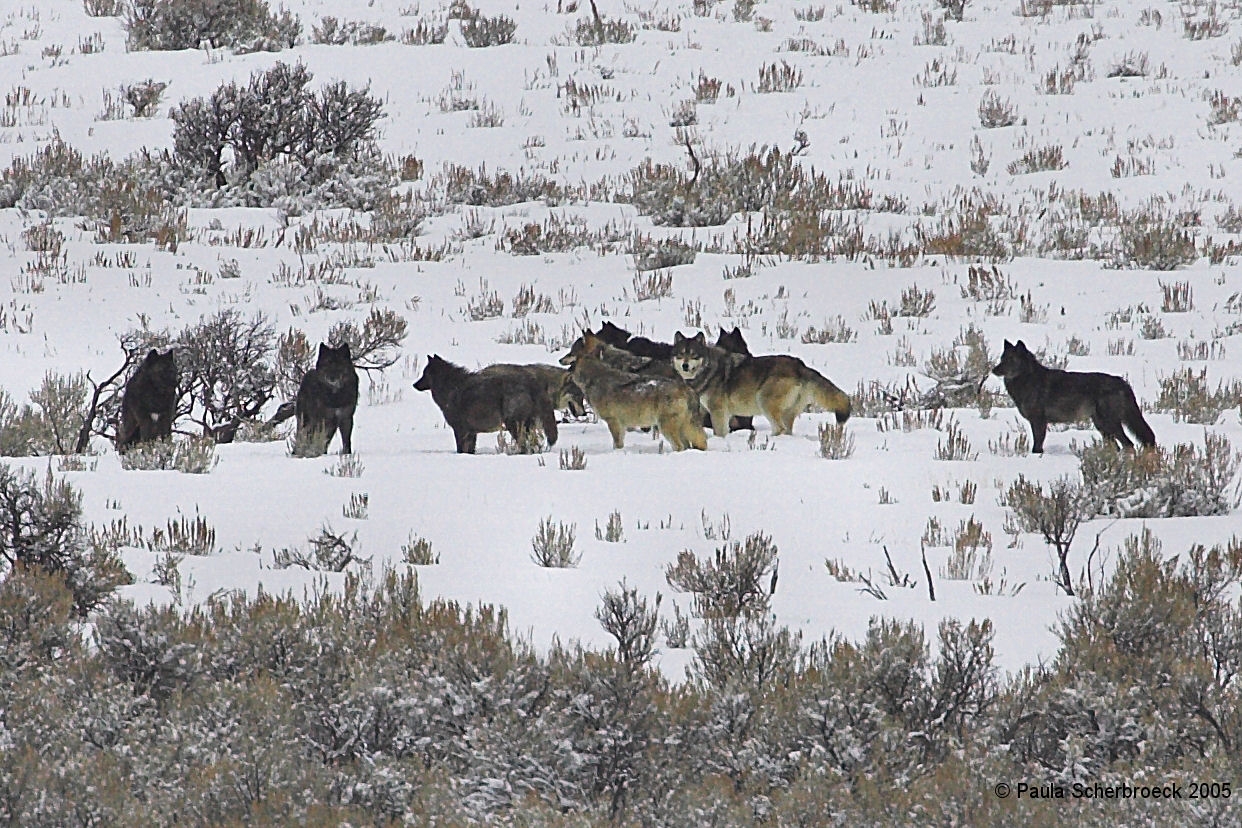 | Good Nature Travel Blog