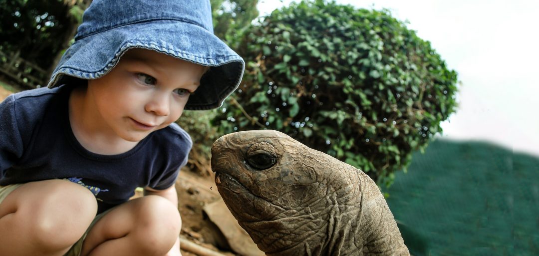 Boy-and-turtle-CROP_Web | Good Nature Travel Blog