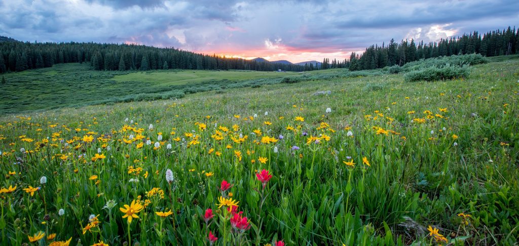 shortgrass-prairie-CROP_Web | Good Nature Travel Blog