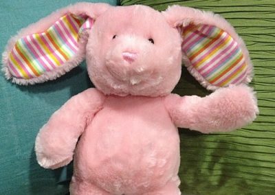 Bunny_Waving | Good Nature Travel Blog