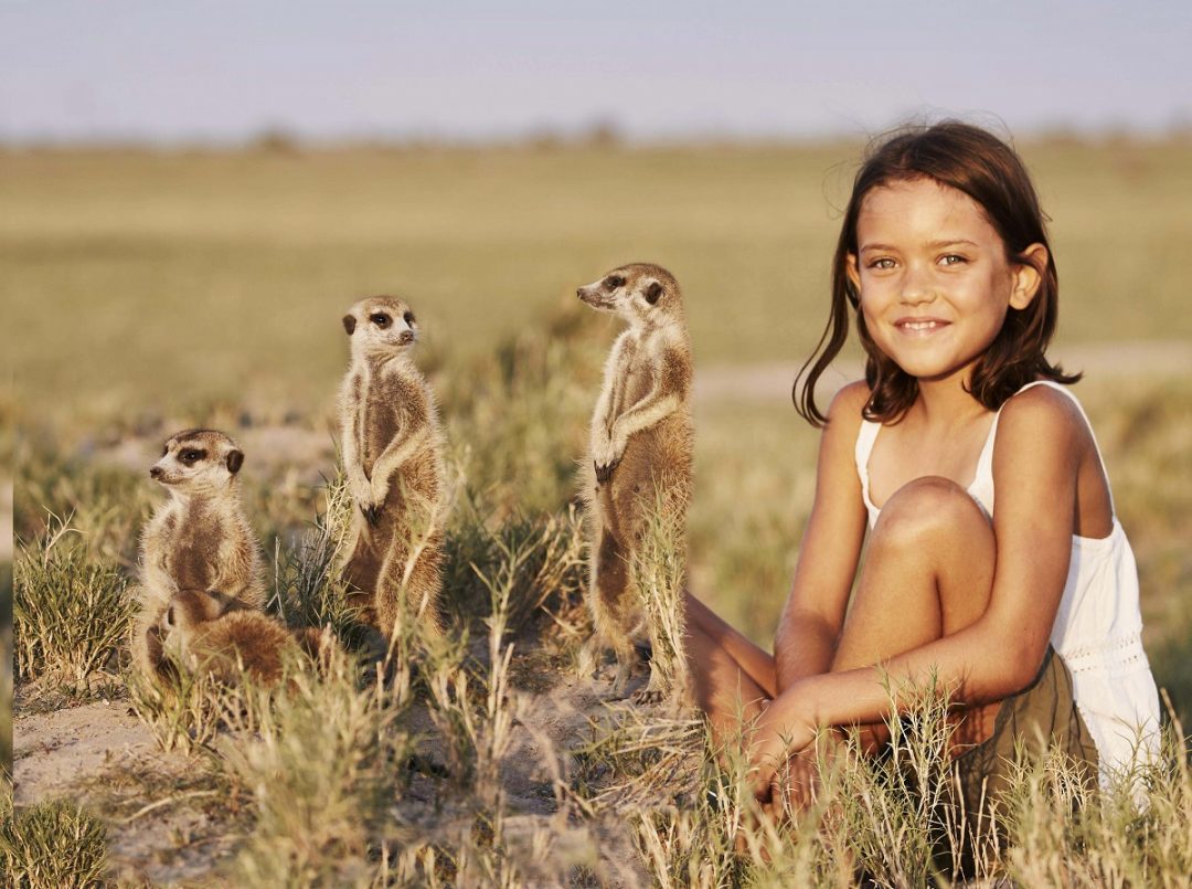 Meerkat Kids 2 | Good Nature Travel Blog