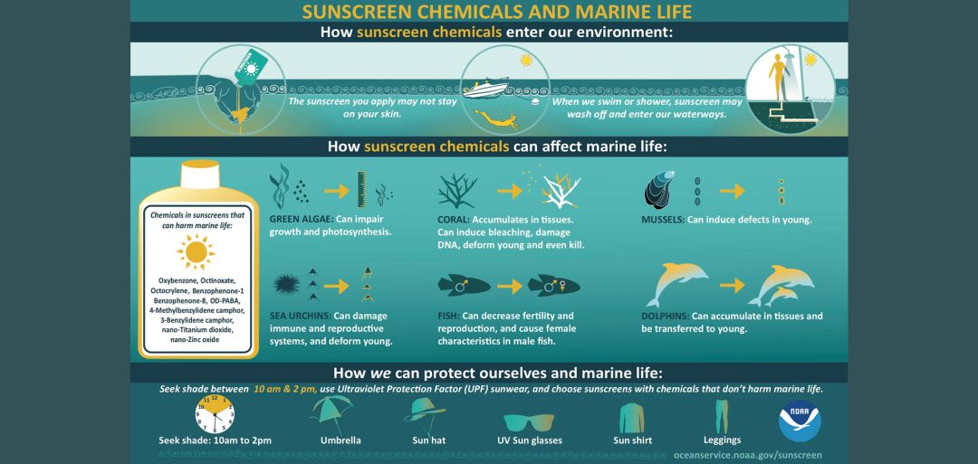noaa-coral-sunscreen-fin_Web | Good Nature Travel Blog