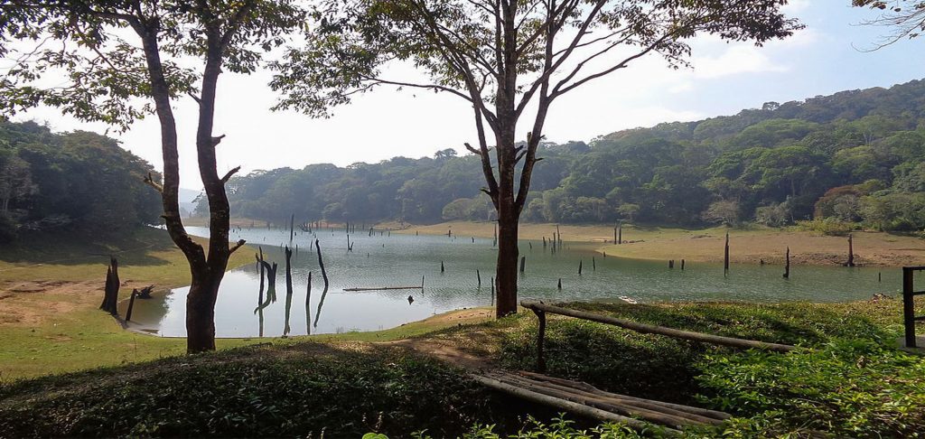 6 1200px-Ghost_of_a_Forest-fin_Web | Good Nature Travel Blog