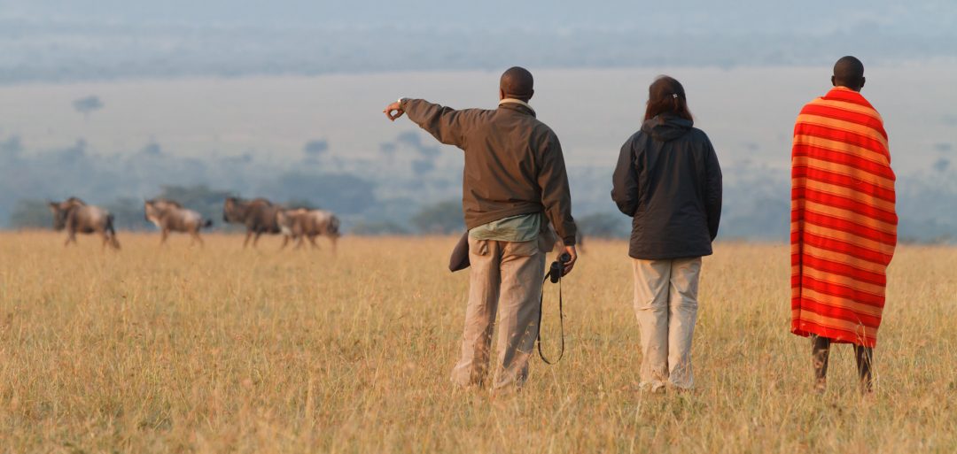 Leleshwa-Camp_kenya_Alek-Komarnitsky-CROP_Web | Good Nature Travel Blog