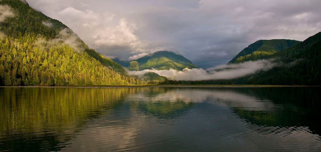 Great Bear Rainforest 2_Jack Borno_Wikimedia Commons-fin_Web | Good ...