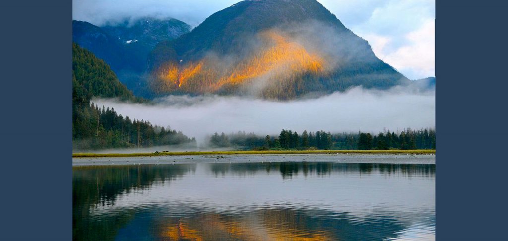 Great-Bear_Jack-Borno_Wikimedia-Commons-fin_Web | Good Nature Travel Blog