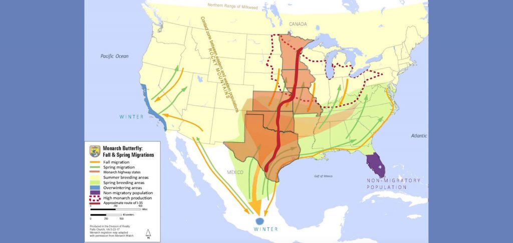 Migration-Map-fin_Web | Good Nature Travel Blog