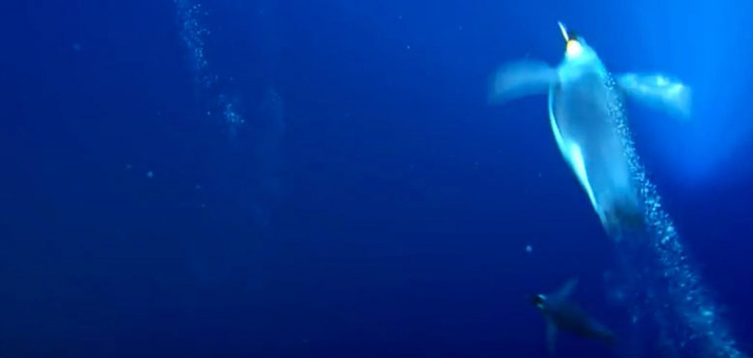 Fast-Ascent-CROP_Web | Good Nature Travel Blog