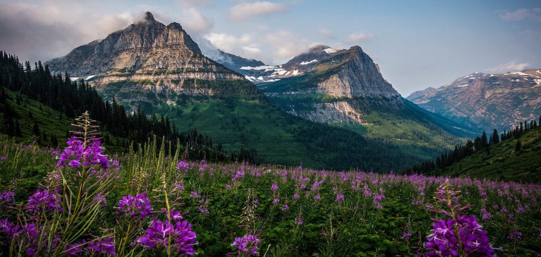 Glacier-NP-Mount-Oberlin-fin_Web | Good Nature Travel Blog