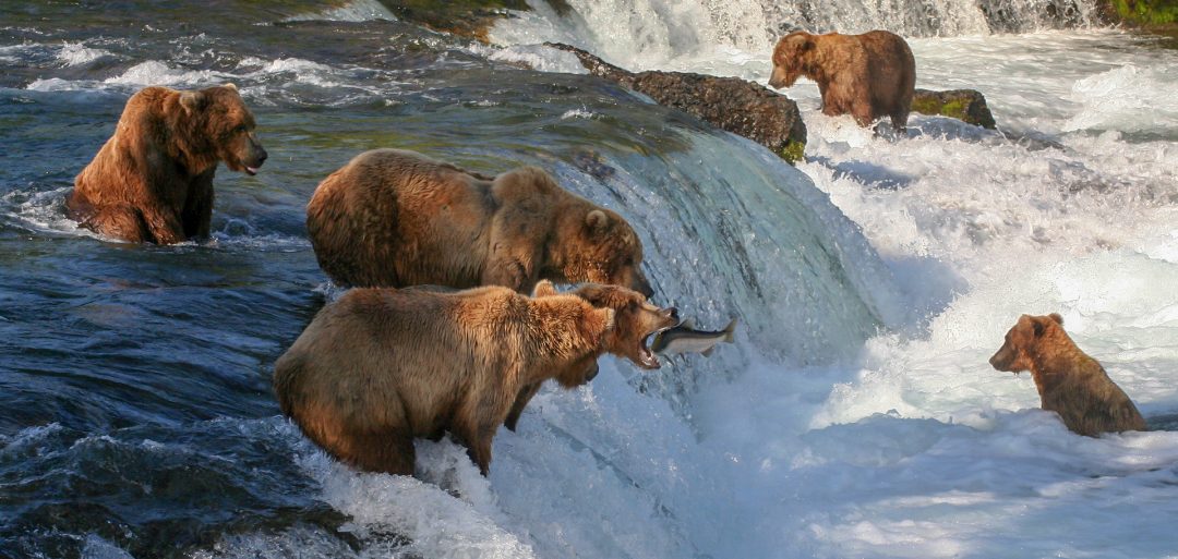 IMG_0087a-CROP_Web | Good Nature Travel Blog