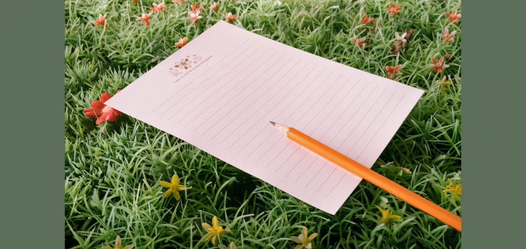 Journal-in-Grass-fin_Web | Good Nature Travel Blog