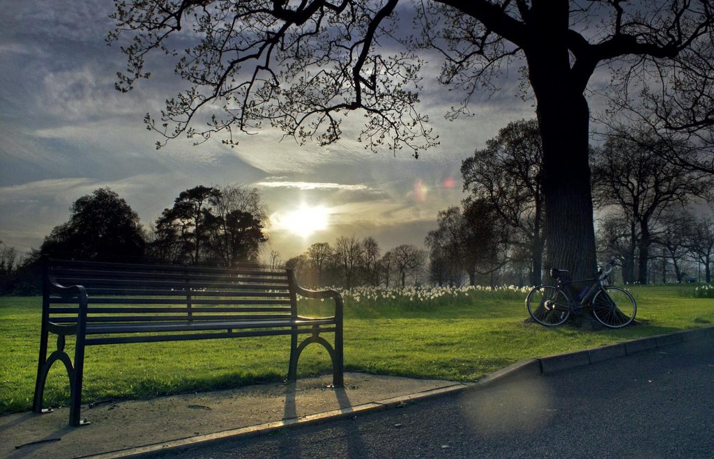 Golden-Hour-Bench_CROP_Web | Good Nature Travel Blog
