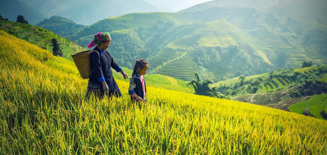 Hmong-Agriculture-fin_Web | Good Nature Travel Blog
