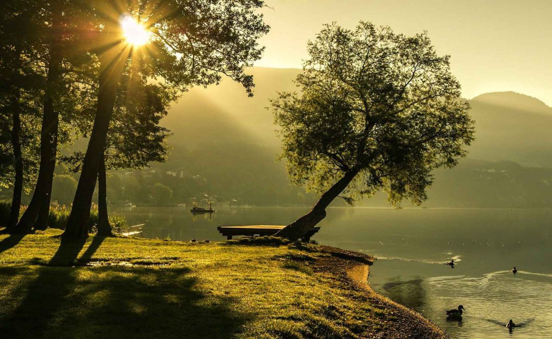 Lake-Tree-fin_Web | Good Nature Travel Blog