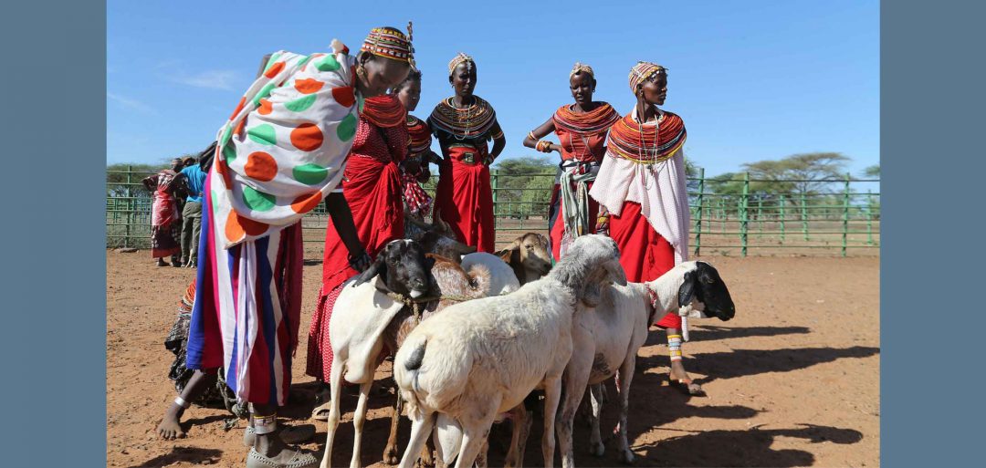 Selling-Sheep-Kenya_CTA-ACP-EU_flickr-fin_Web | Good Nature Travel Blog