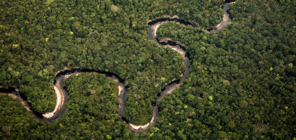 Amazon_Cesar-David-Martinez-Avaaz_flickr-CROP_Web | Good Nature Travel Blog