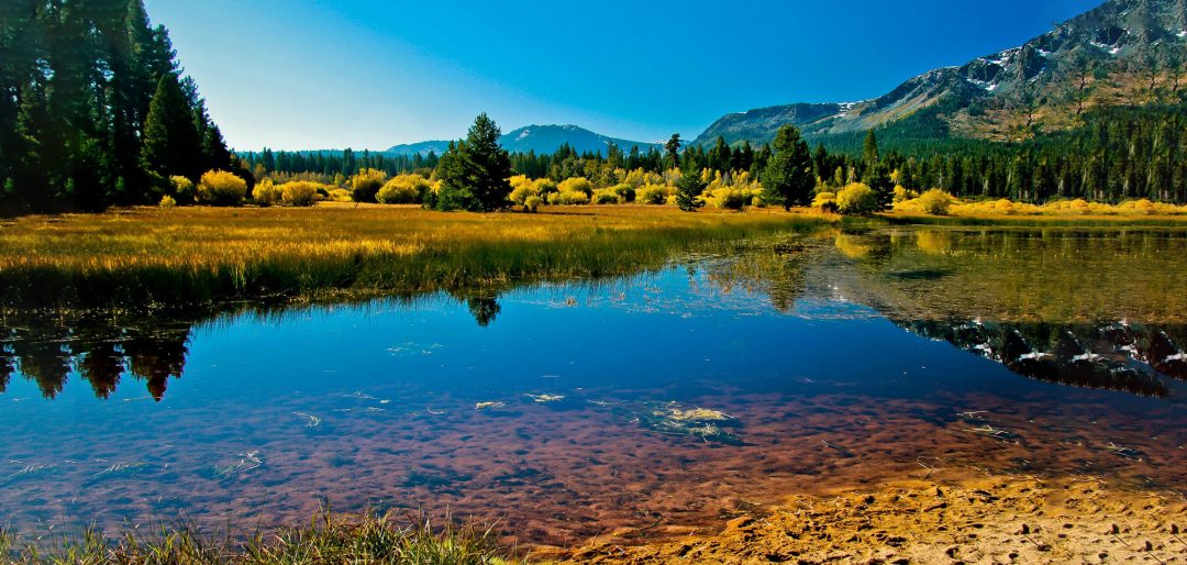 Clean Water_Lake Tahoe fin CROP_Web | Good Nature Travel Blog
